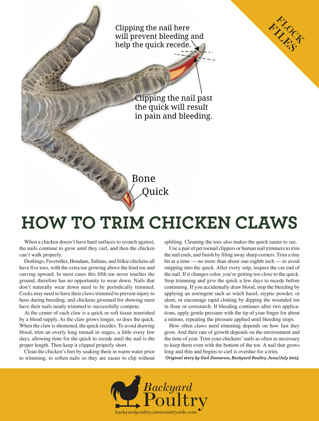 How to Trim Chicken Claws - Backyard Poultry